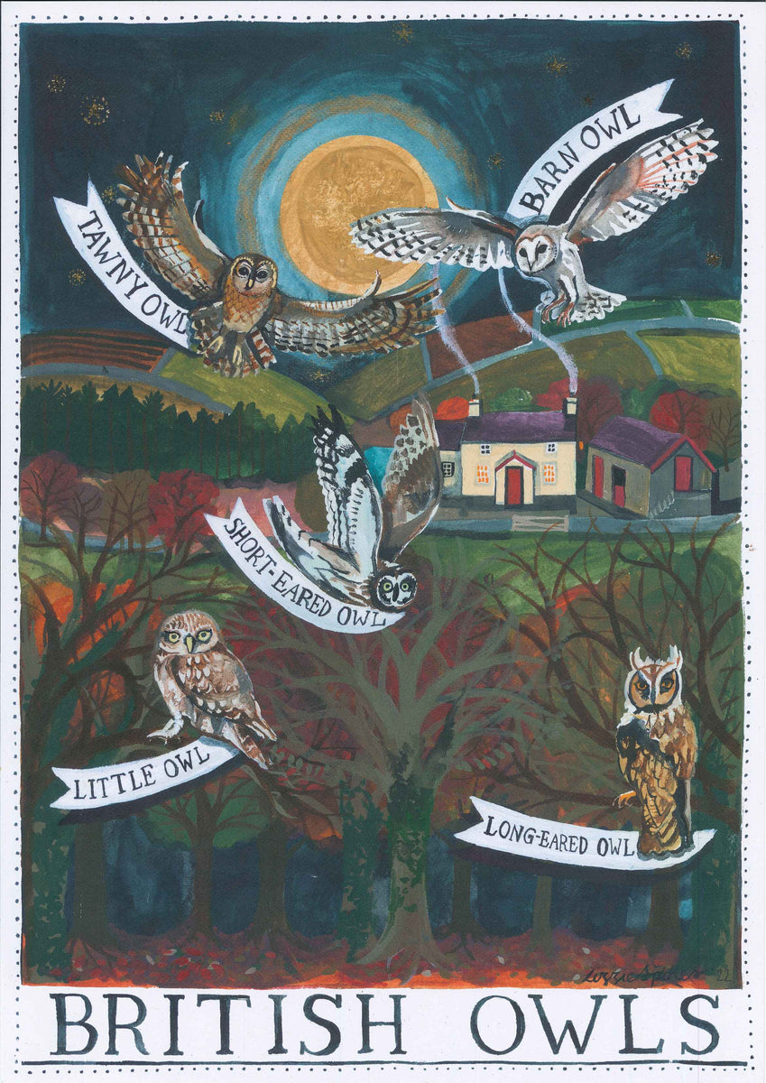 'British Owls' Poster by Lizzie Spikes – National Library of Wales ...