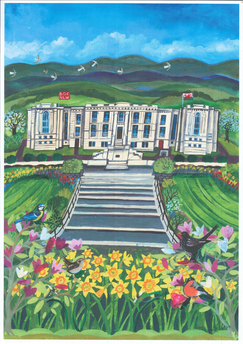 'National Library/Llyfrgell' Poster by Lizzie Spikes – National Library ...